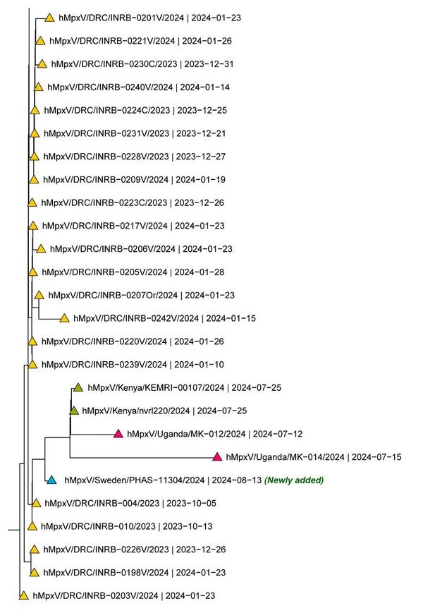 GISAID - In Focus Archive