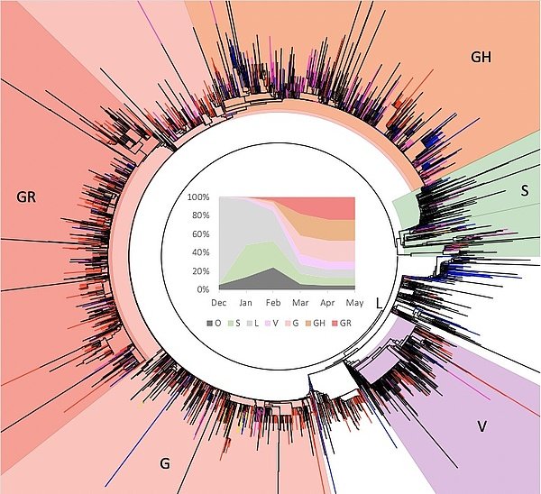 GISAID - In Focus Archive