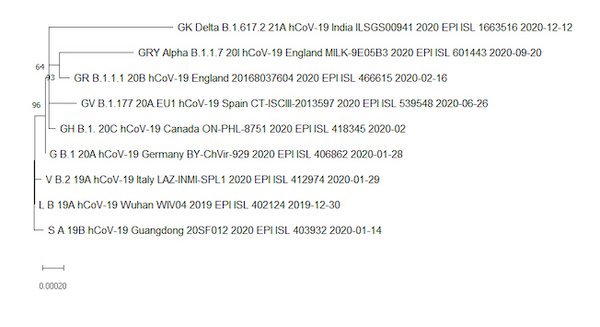 GISAID - Clade and lineage nomenclature aids in genomic epidemiology of ...