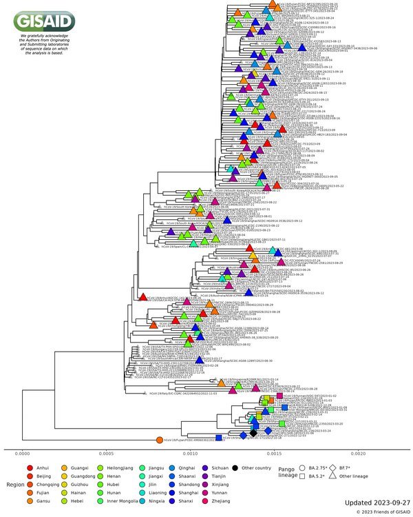 GISAID - In Focus Archive