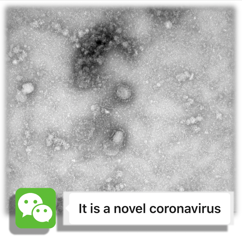 GISAID - In Focus Archive