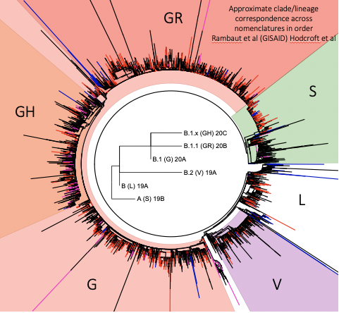 GISAID - In Focus Archive