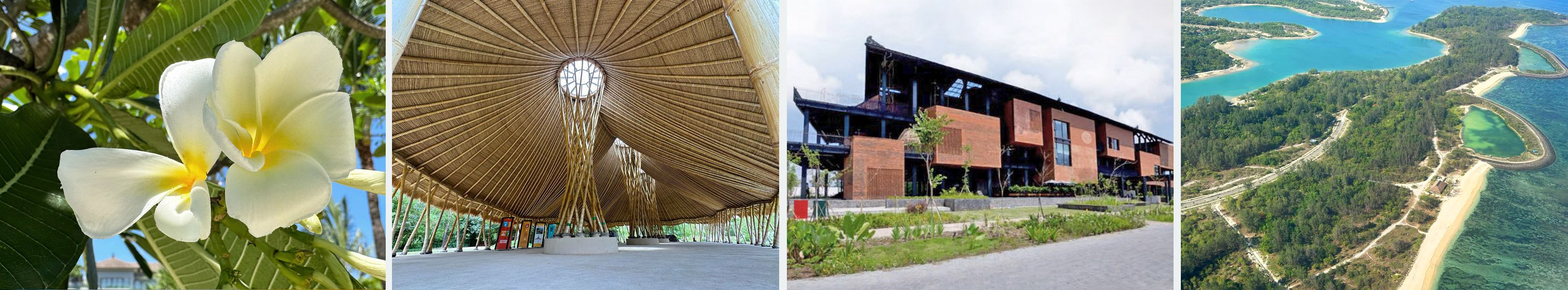 GISAID - Training Workshops